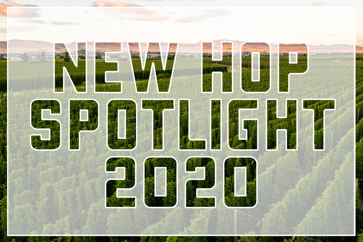 New Hop Spotlight 2020 – Yakima Valley Hops