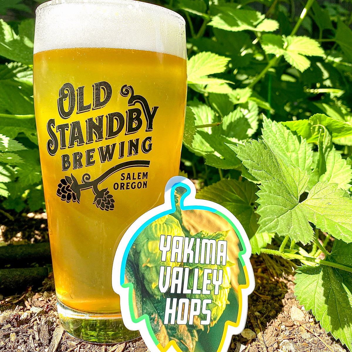 COld Standby IPA Homebrew Recipe – Yakima Valley Hops