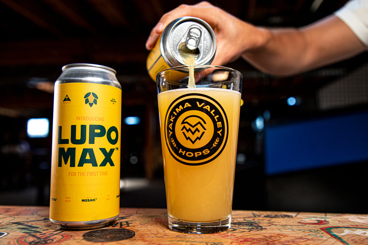 Top Hops for Hazy IPAs – Yakima Valley Hops