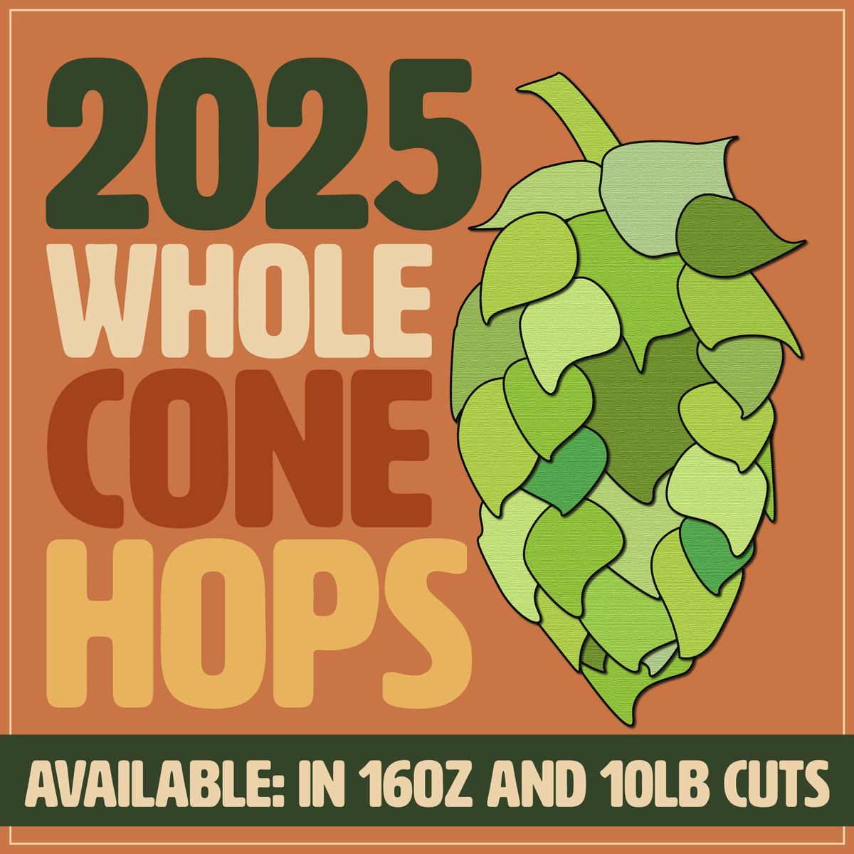 Whole Cone Hops – Yakima Valley Hops