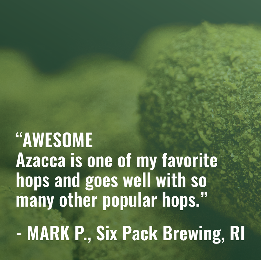 Azacca Hops – Yakima Valley Hops