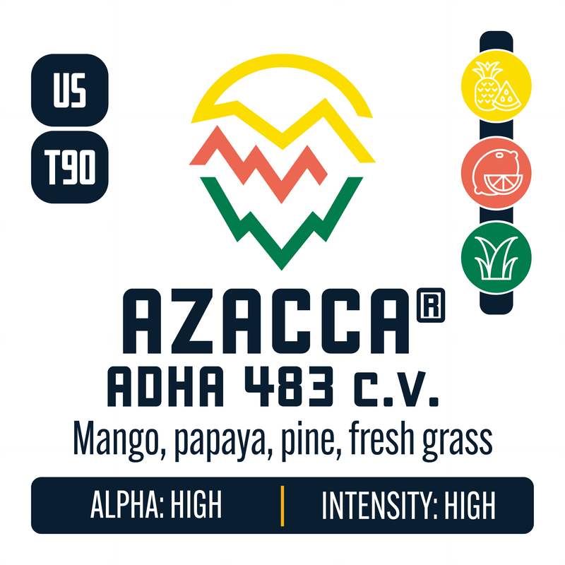 Azacca Hops – Yakima Valley Hops