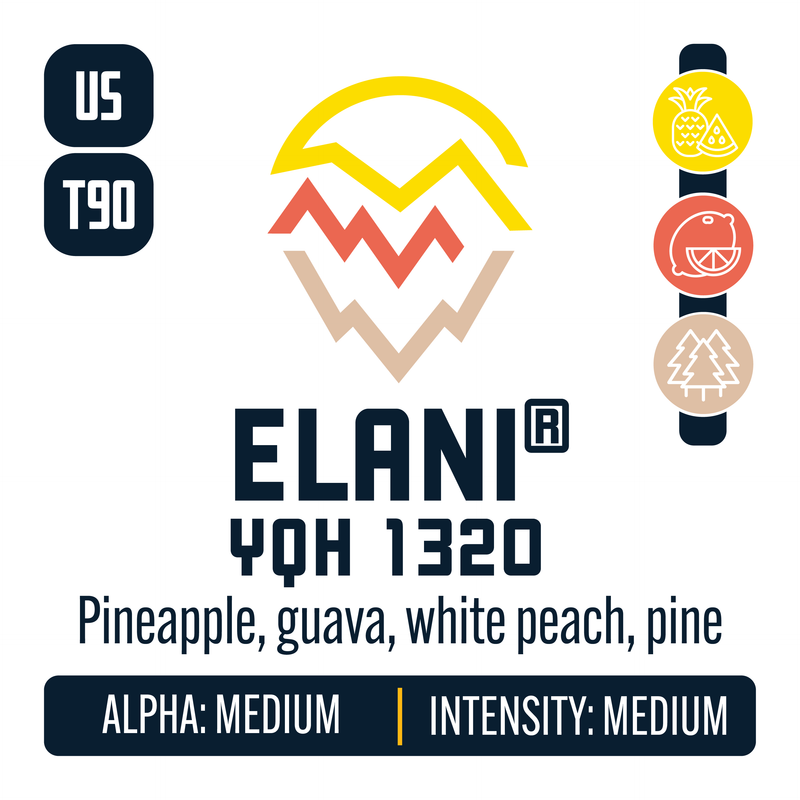 Elani Hops (YQH-1320) – Yakima Valley Hops