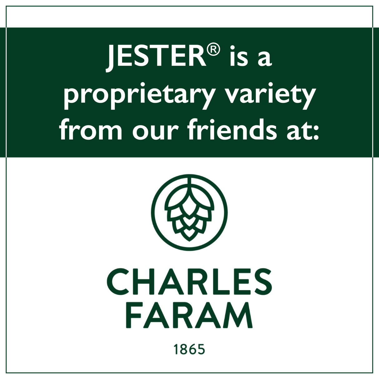 Jester Hops – Yakima Valley Hops
