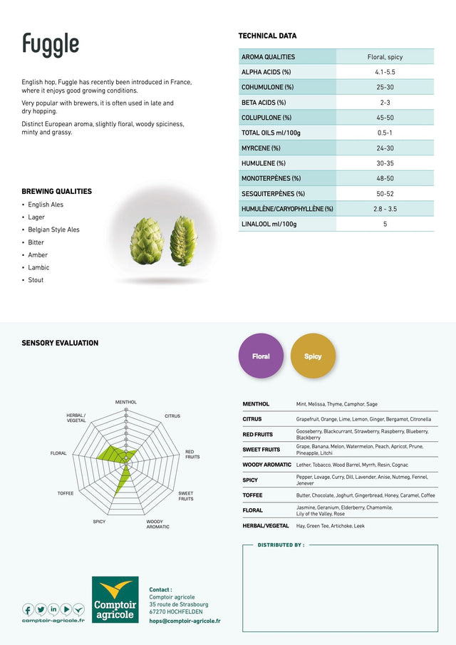 French Fuggle Hops – Yakima Valley Hops