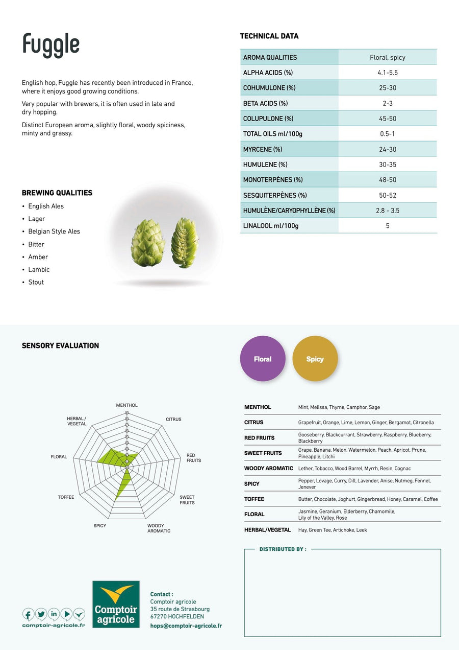French Fuggle Hops – Yakima Valley Hops